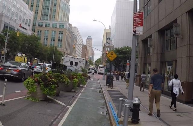 Eyes on the Street: The Plant-Based Solution to Bike Lane Blockage ...