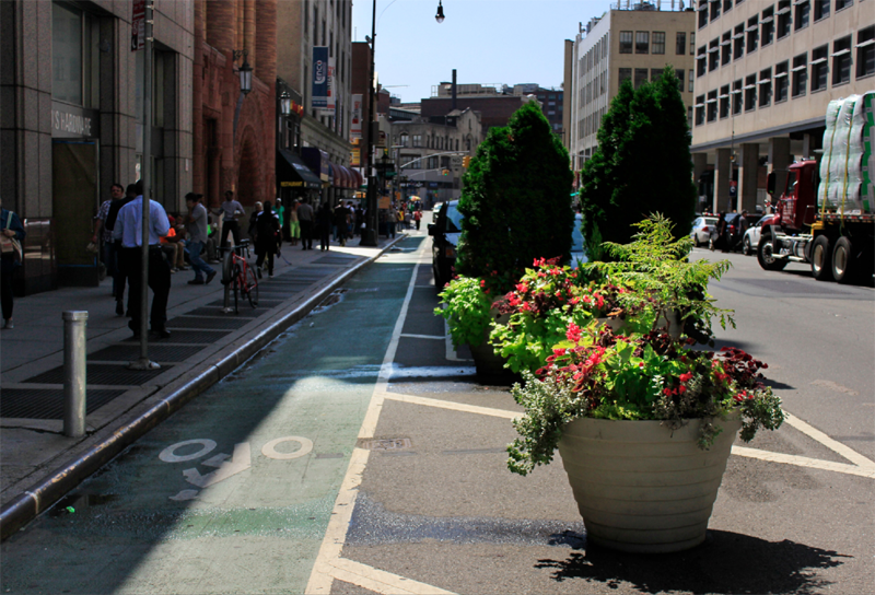 Eyes on the Street: The Plant-Based Solution to Bike Lane Blockage ...