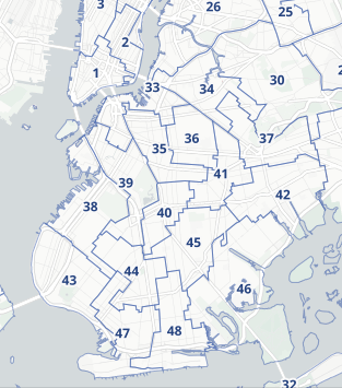 What Will They Do? Incoming Brooklyn Council Members Speak ...
