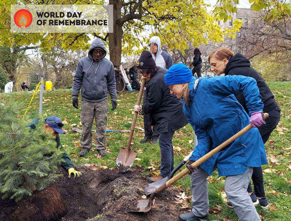 A Grove Grows In Brooklyn: Finally, New York Has a Memorial to Road ...