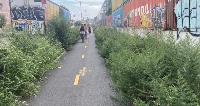 Too Green: City Neglects Overgrown Bike Paths - Streetsblog New York City