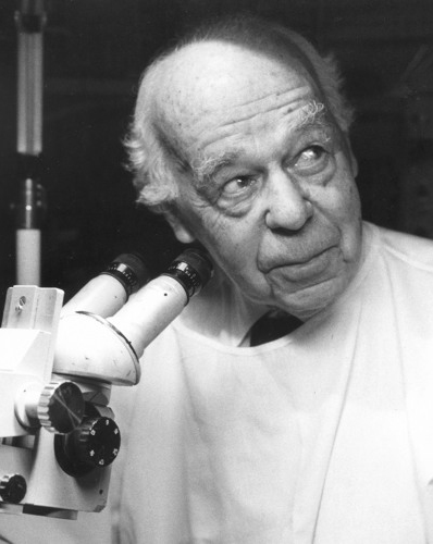 What's That Rat-Drowning Experiment Mayor Adams Talked About? We Tried ...