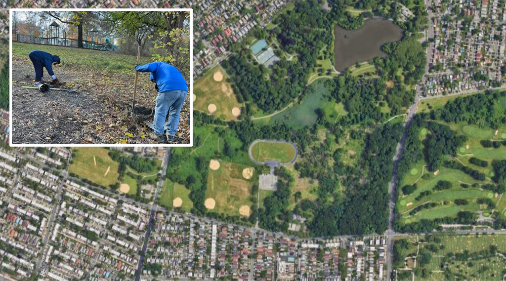 Vandals Commit Mass Arborcide Near the Greenway in Kissena Park ...