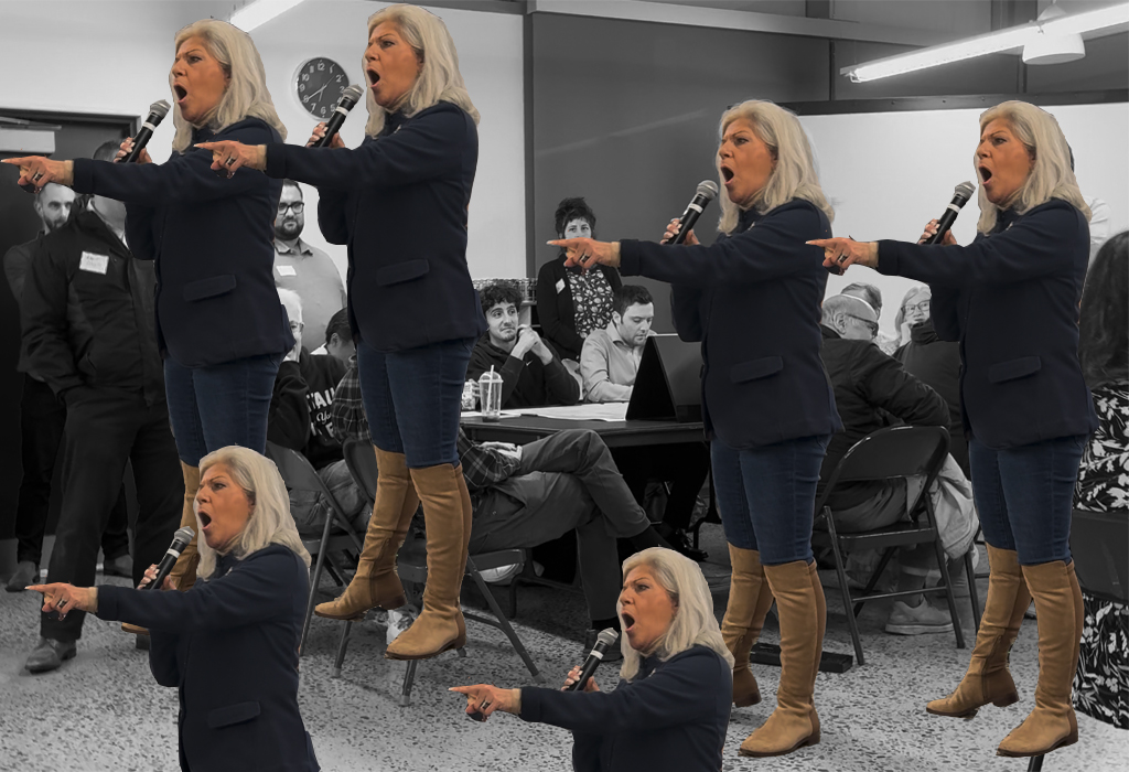 Op-Ed: We Just Want Safety While Vickie Paladino Wants Chaos and Danger ...