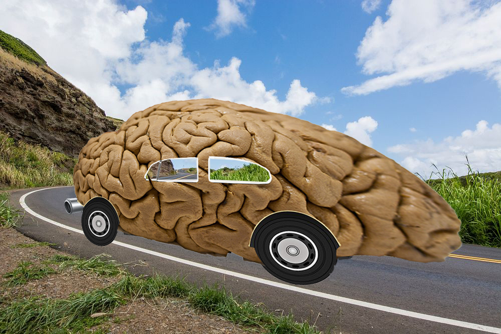 Wednesday's Headlines: Car Brain Edition - Streetsblog New York City