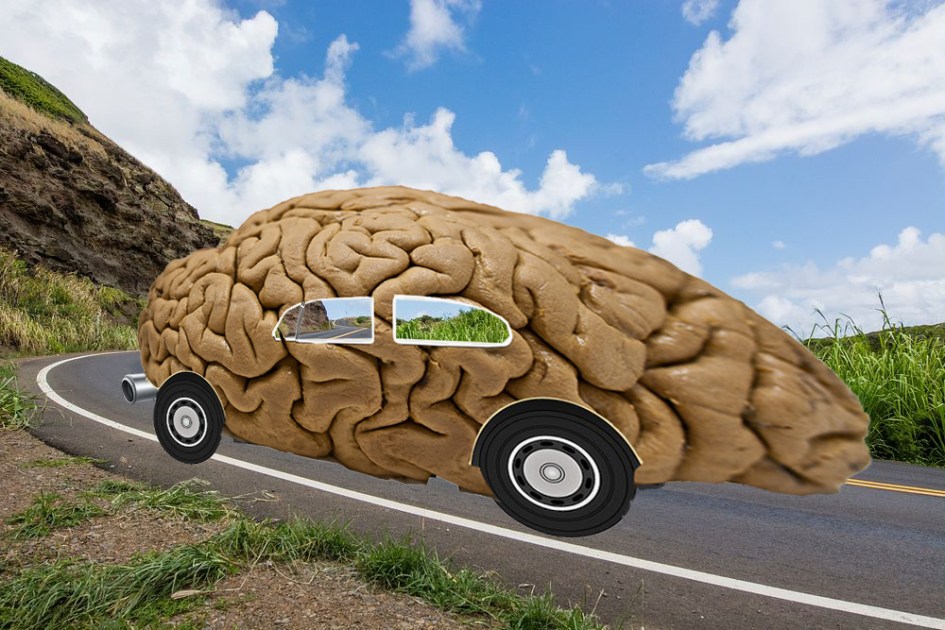 Wednesday's Headlines: Car Brain Edition - Streetsblog New York City