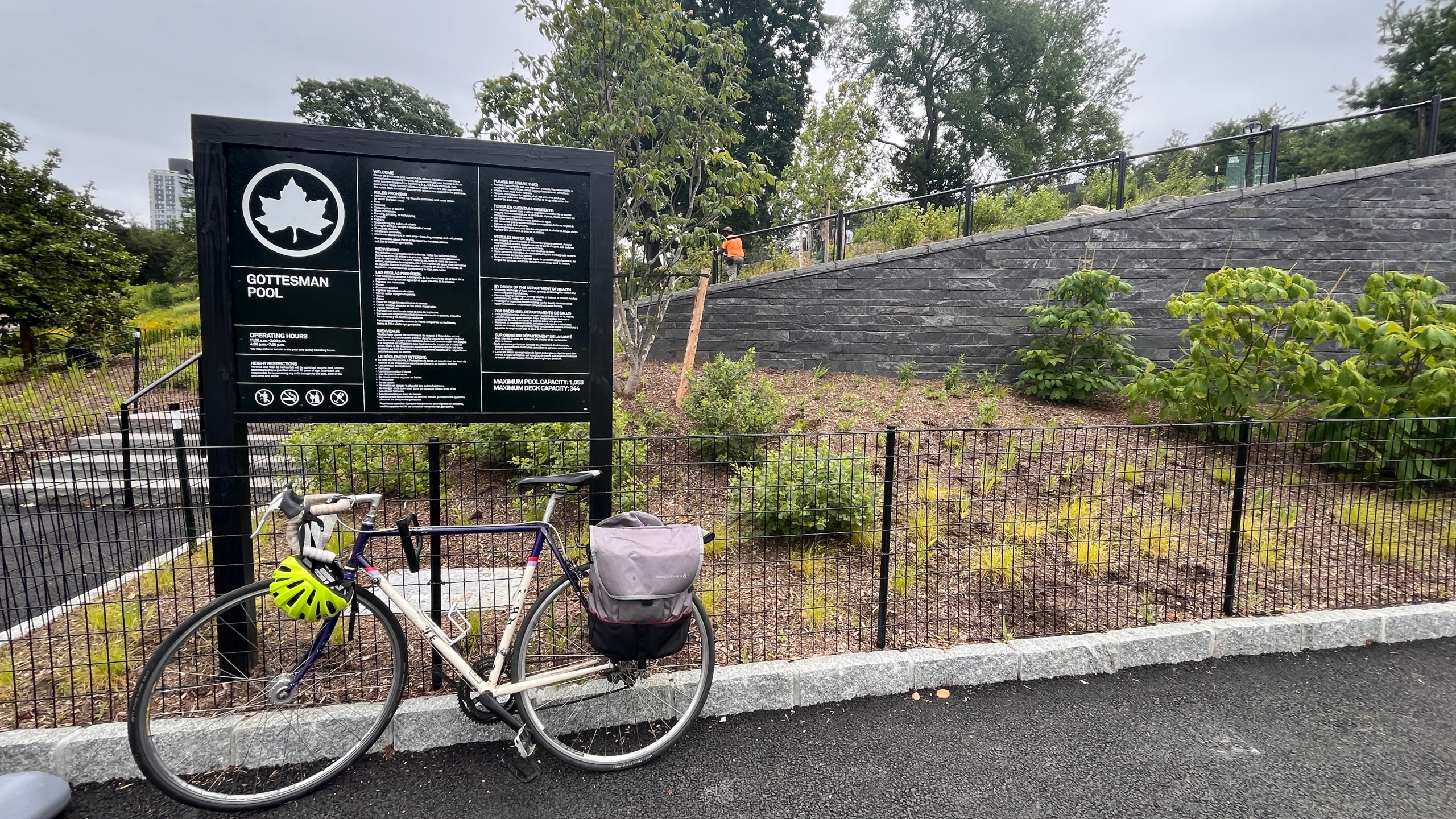 Arlene lee xxx twitter on this occasion I experienced what