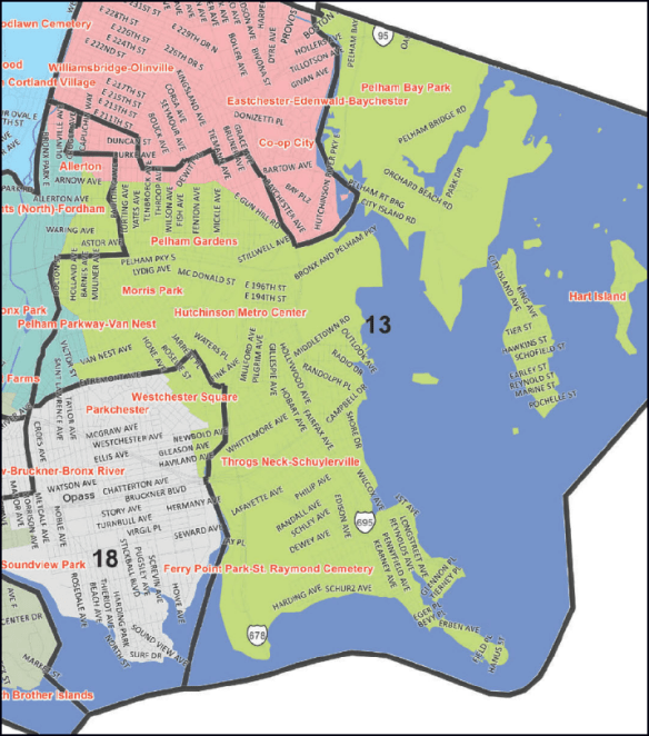 Q&A: Will The Bronx's New Council Member Take On Car Culture ...